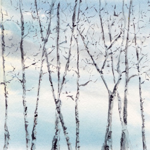 Birches at Dusk | Expeditionary Art