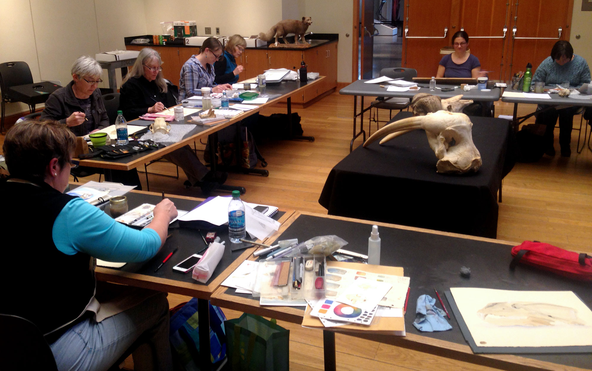 Burke Museum Workshop | Expeditionary Art