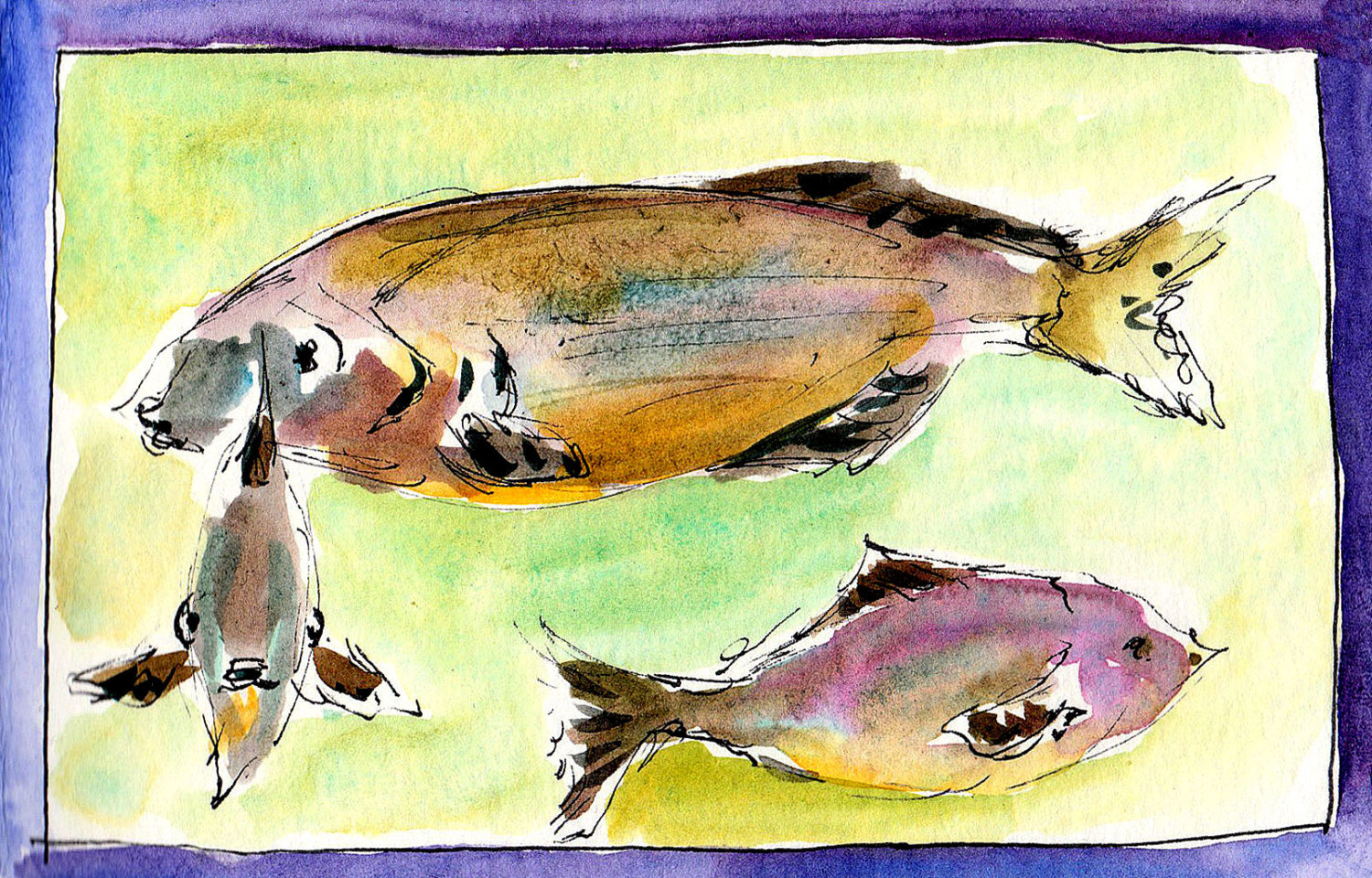 A day at the Aquarium | Expeditionary Art