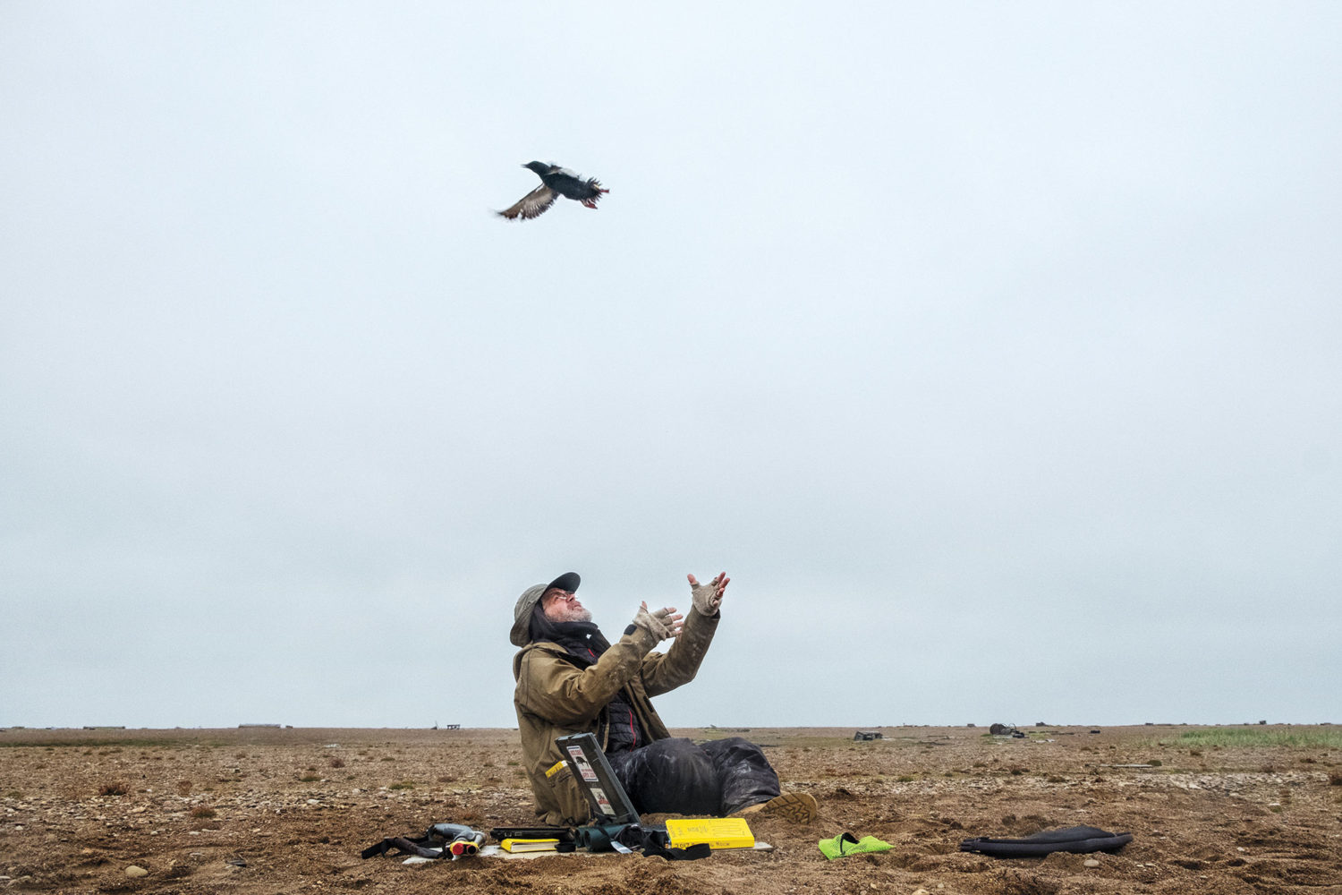 Witnessing Climate Change | Expeditionary Art